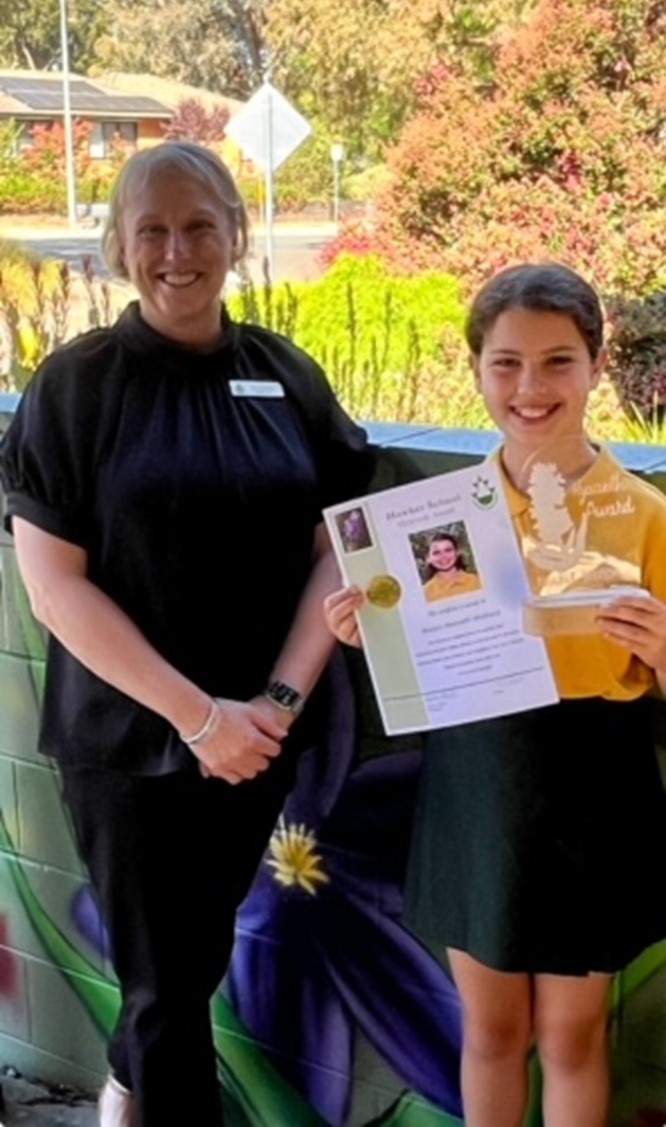 Latest News - Hawker School